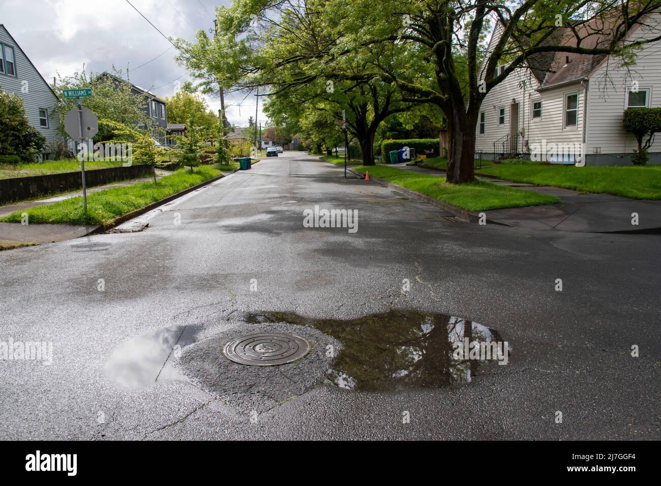 Portland, Oregon is vibrantly colorful in the springtime when there is ...