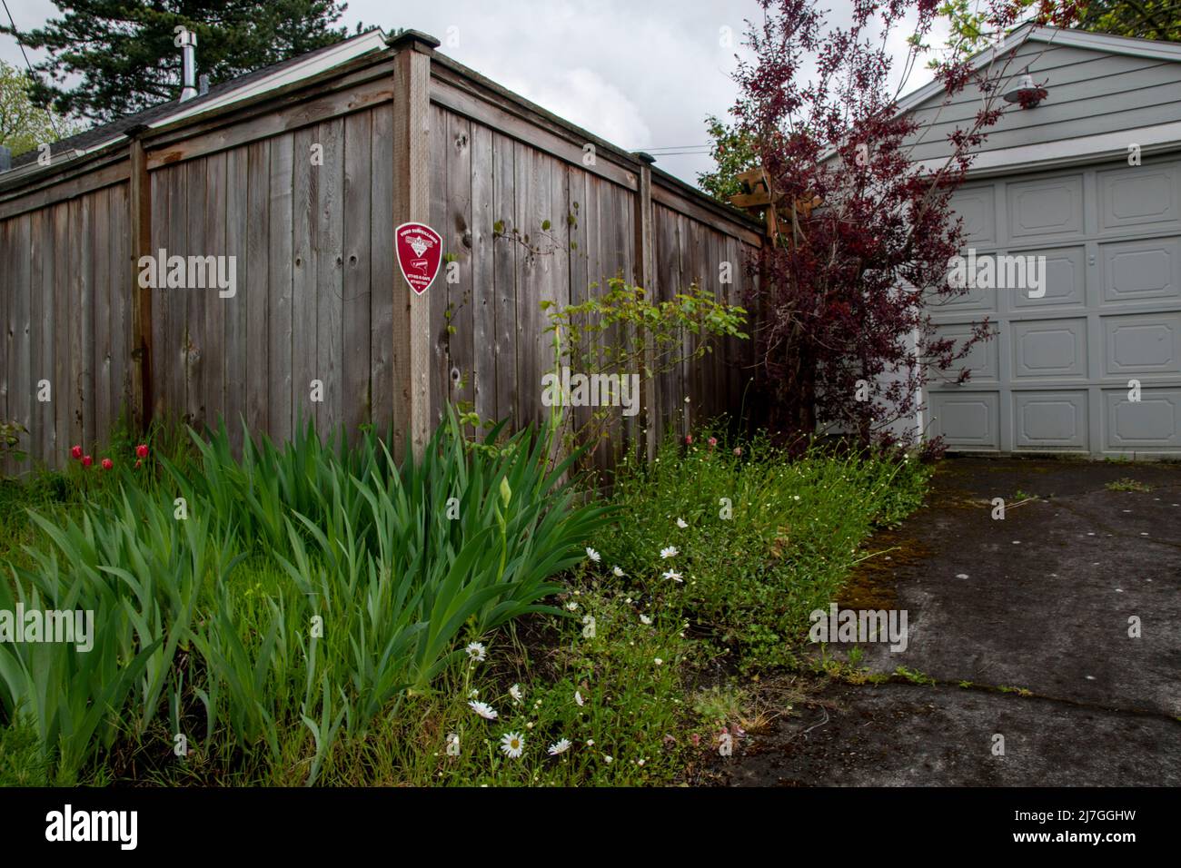 Portland, Oregon is vibrantly colorful in the springtime when there is ...