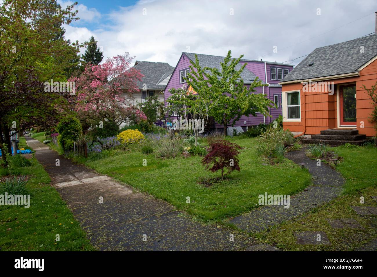 Portland, Oregon is vibrantly colorful in the springtime when there is ...