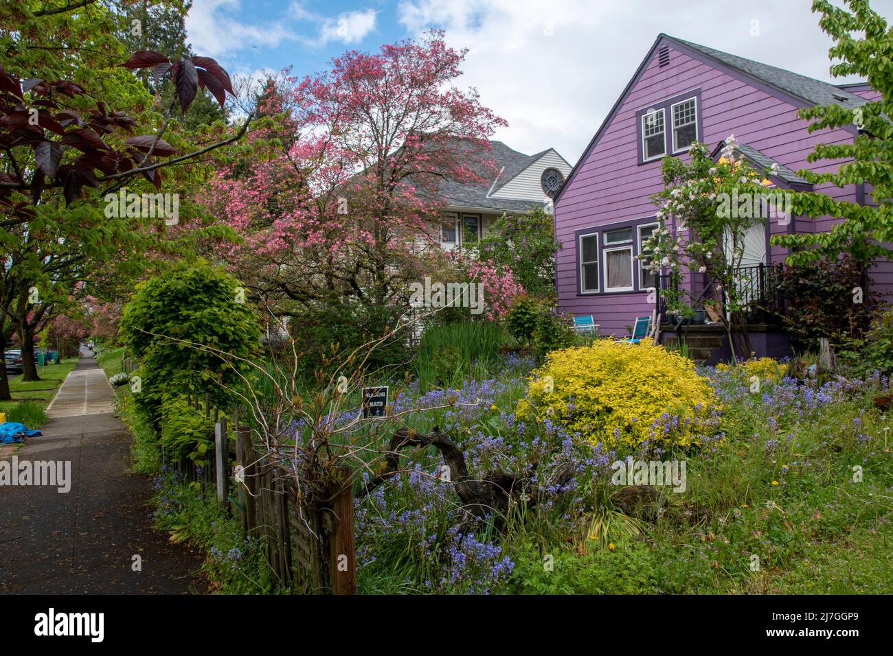 Portland, Oregon is vibrantly colorful in the springtime when there is ...