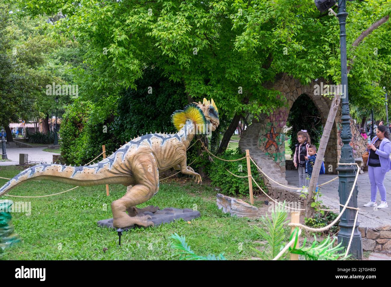 Pictures of dinosaurs hi-res stock photography and images - Alamy