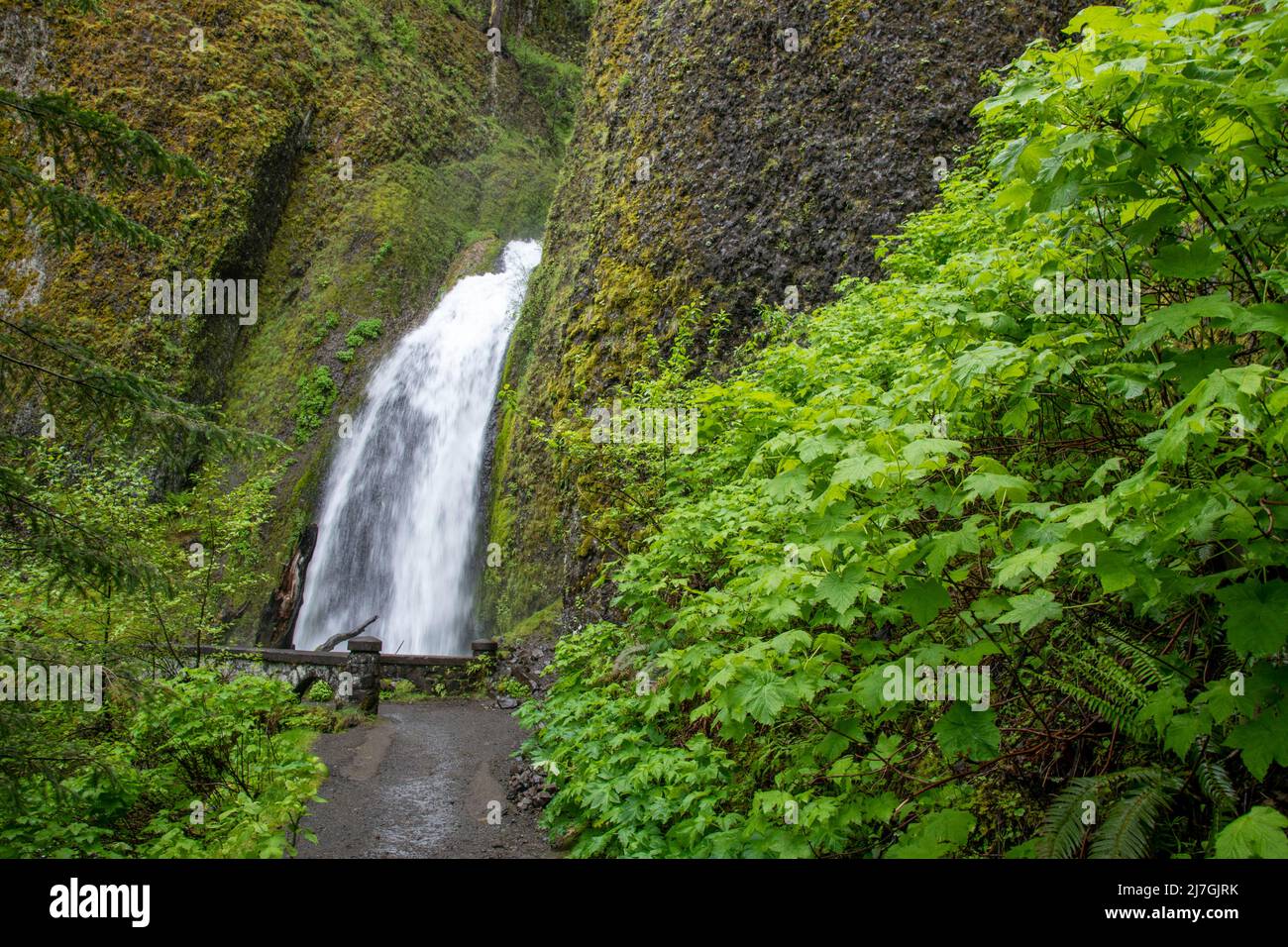 Wahkeena Falls is a tiered waterfall in the Columbia River Gorge in the ...