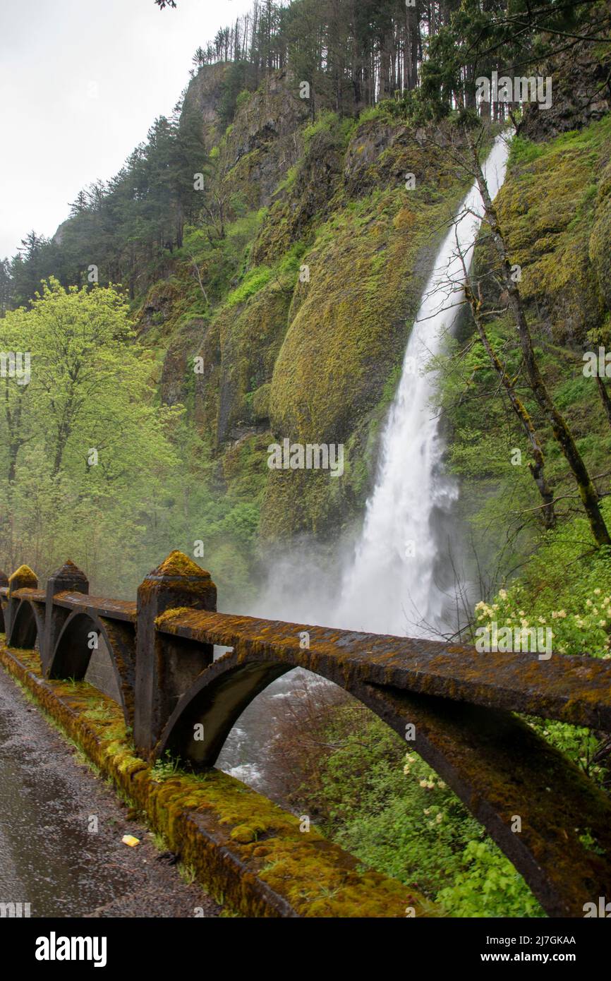 Horsetail Falls is one of many waterfalls in the Columbia River Gorge ...