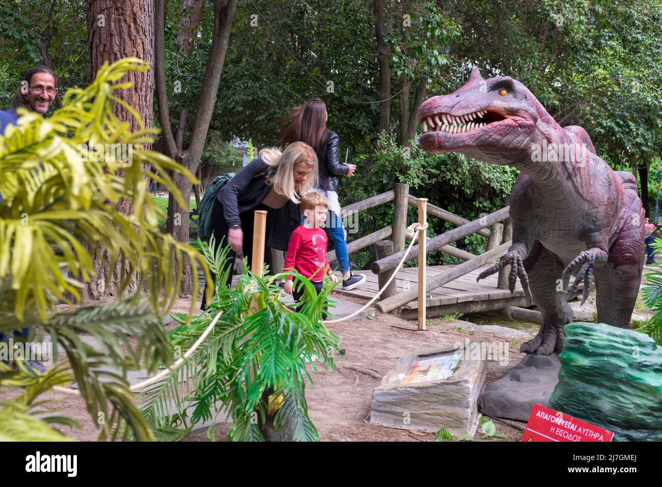 Cute little boy staring dinosaurs in a dinosaur festival Stock Photo ...
