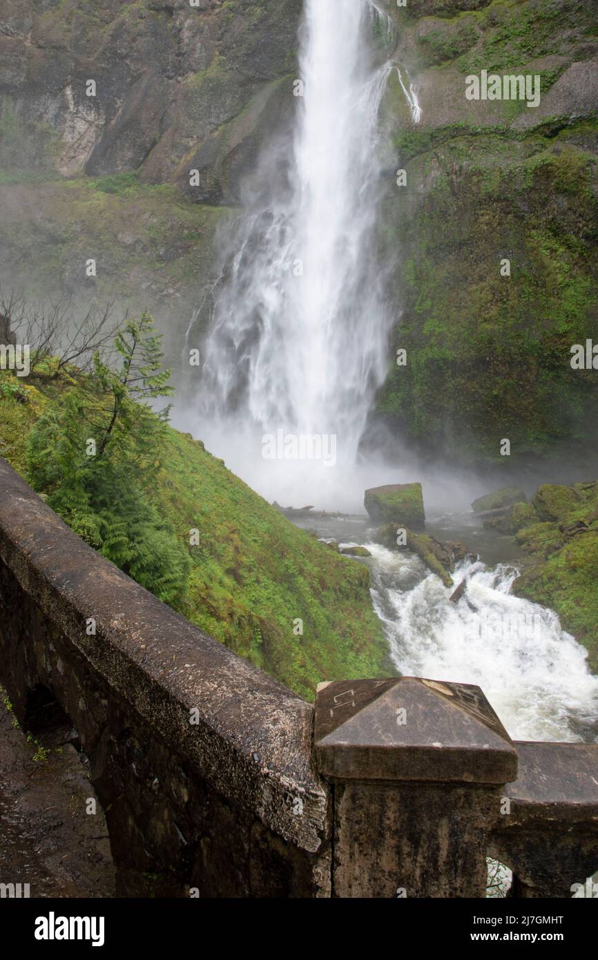 Multnomah Falls is a famous waterfall in the Columbia River Gorge of ...