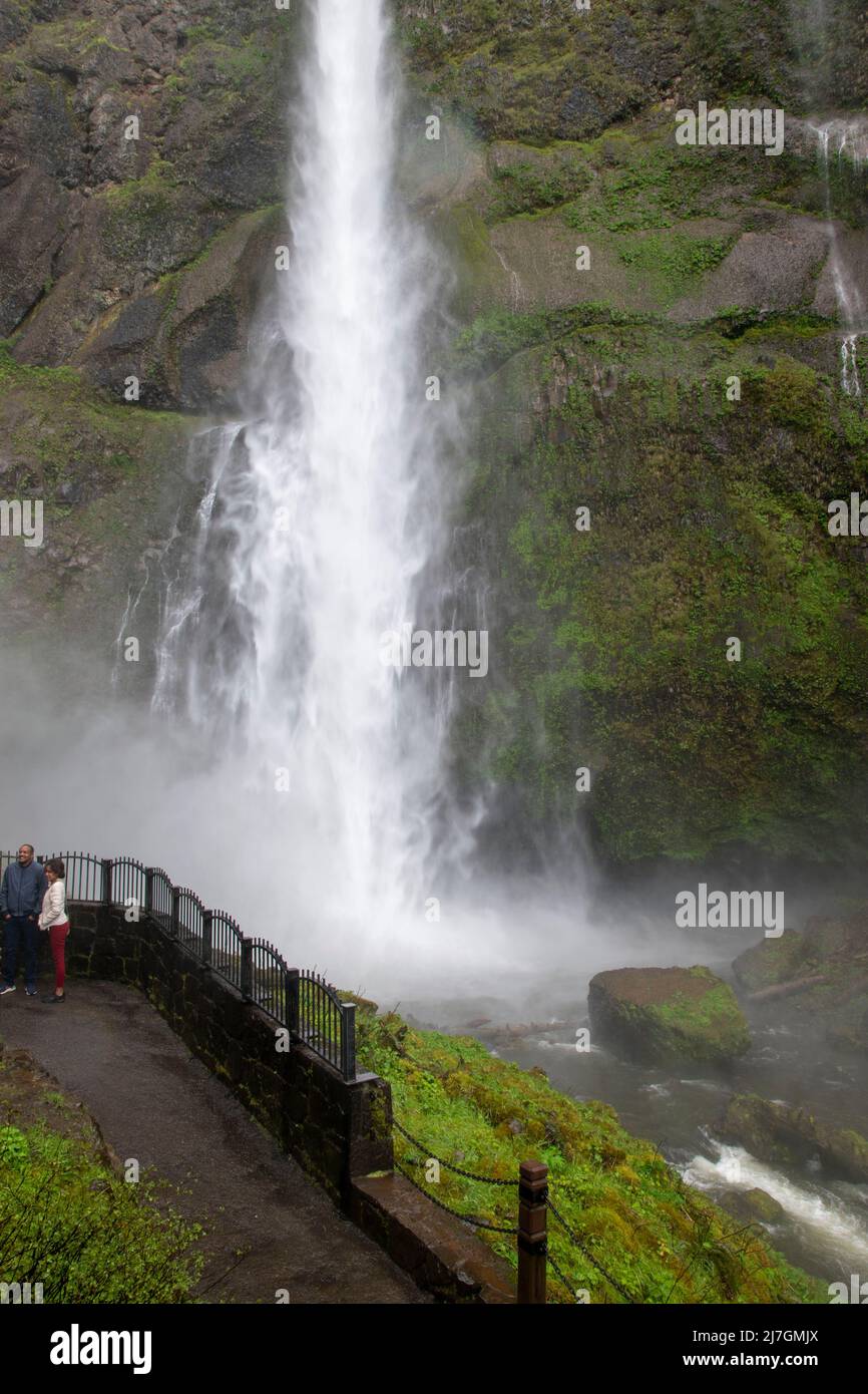 Multnomah Falls is a famous waterfall in the Columbia River Gorge of ...