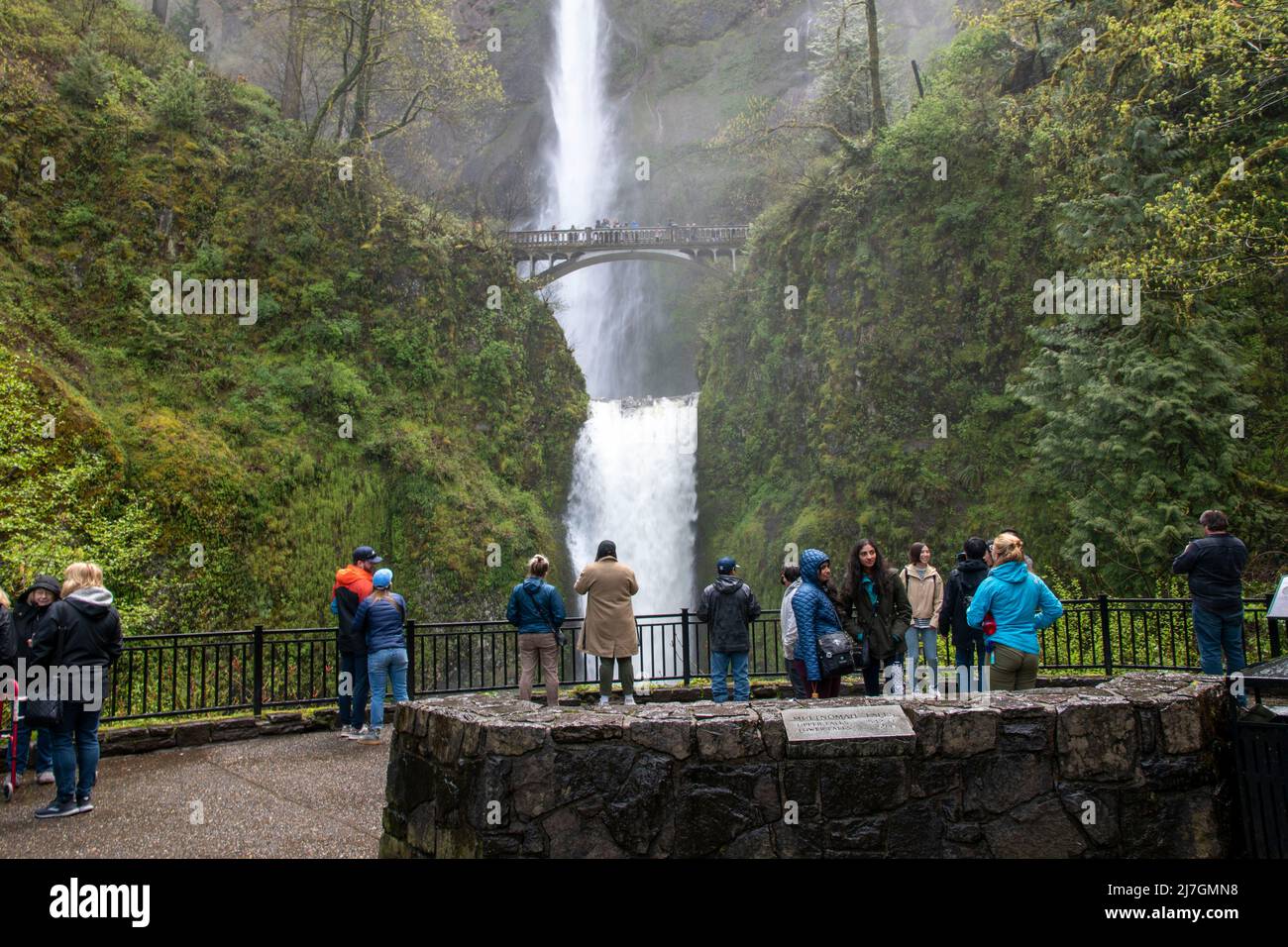 Multnomah Falls is a famous waterfall in the Columbia River Gorge of ...