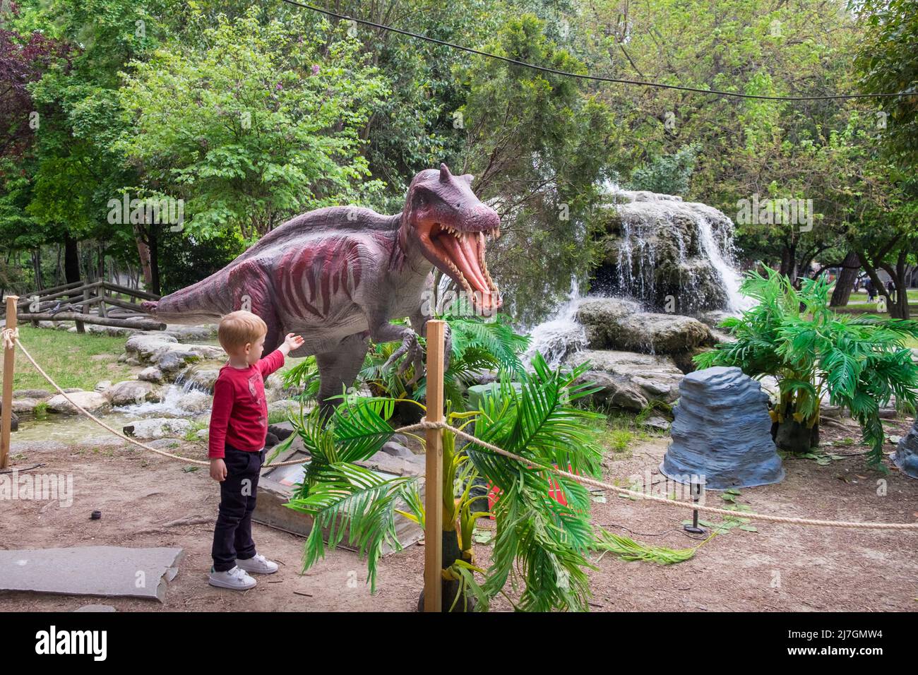 Cute little boy staring dinosaurs in a dinosaur festival Stock Photo ...