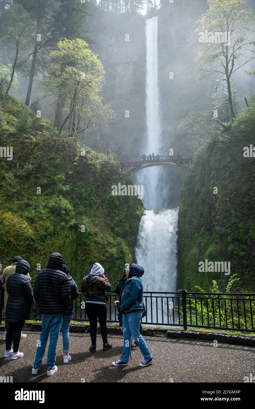 Multnomah Falls is a famous waterfall in the Columbia River Gorge of ...