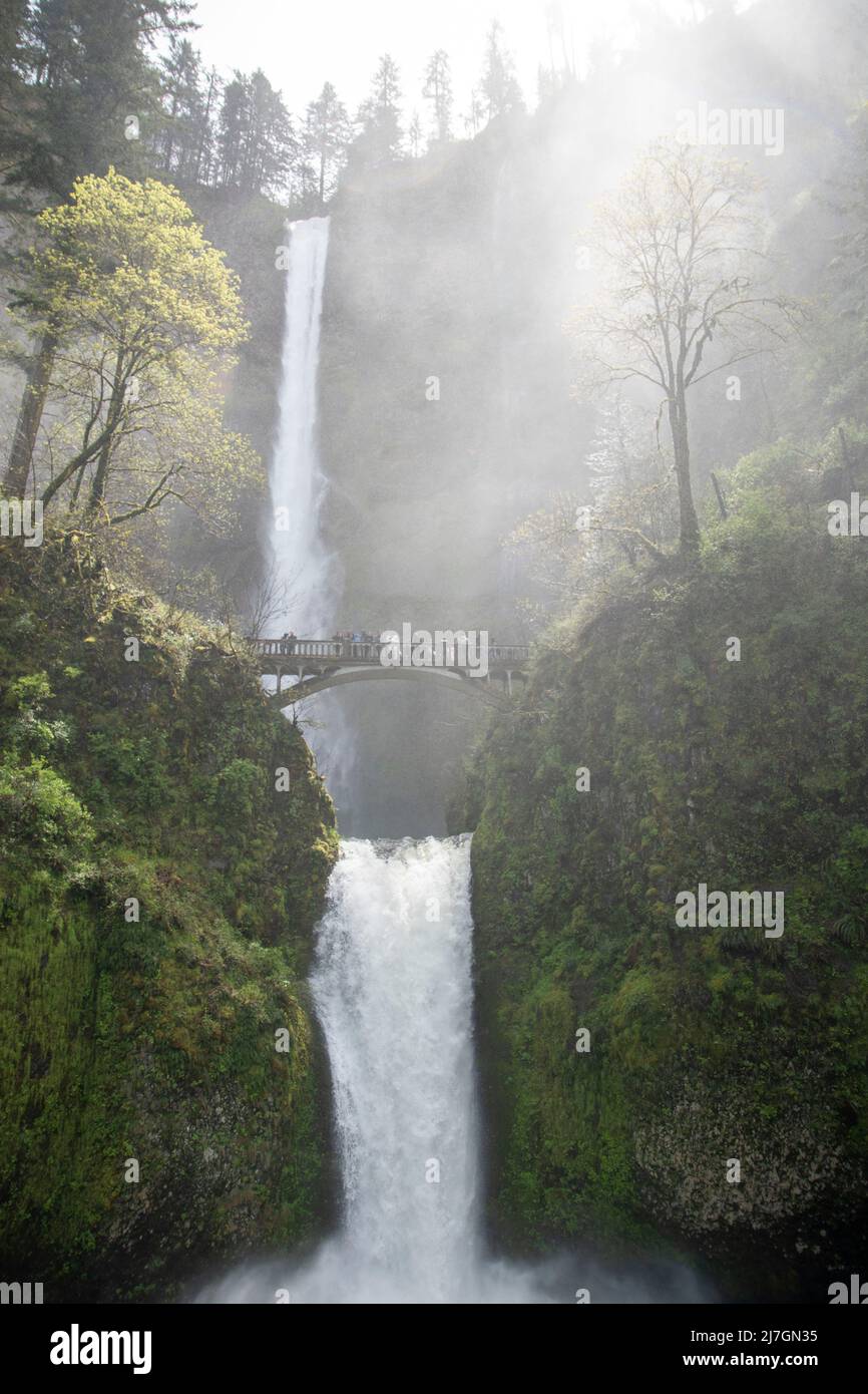 Multnomah Falls is a famous waterfall in the Columbia River Gorge of ...