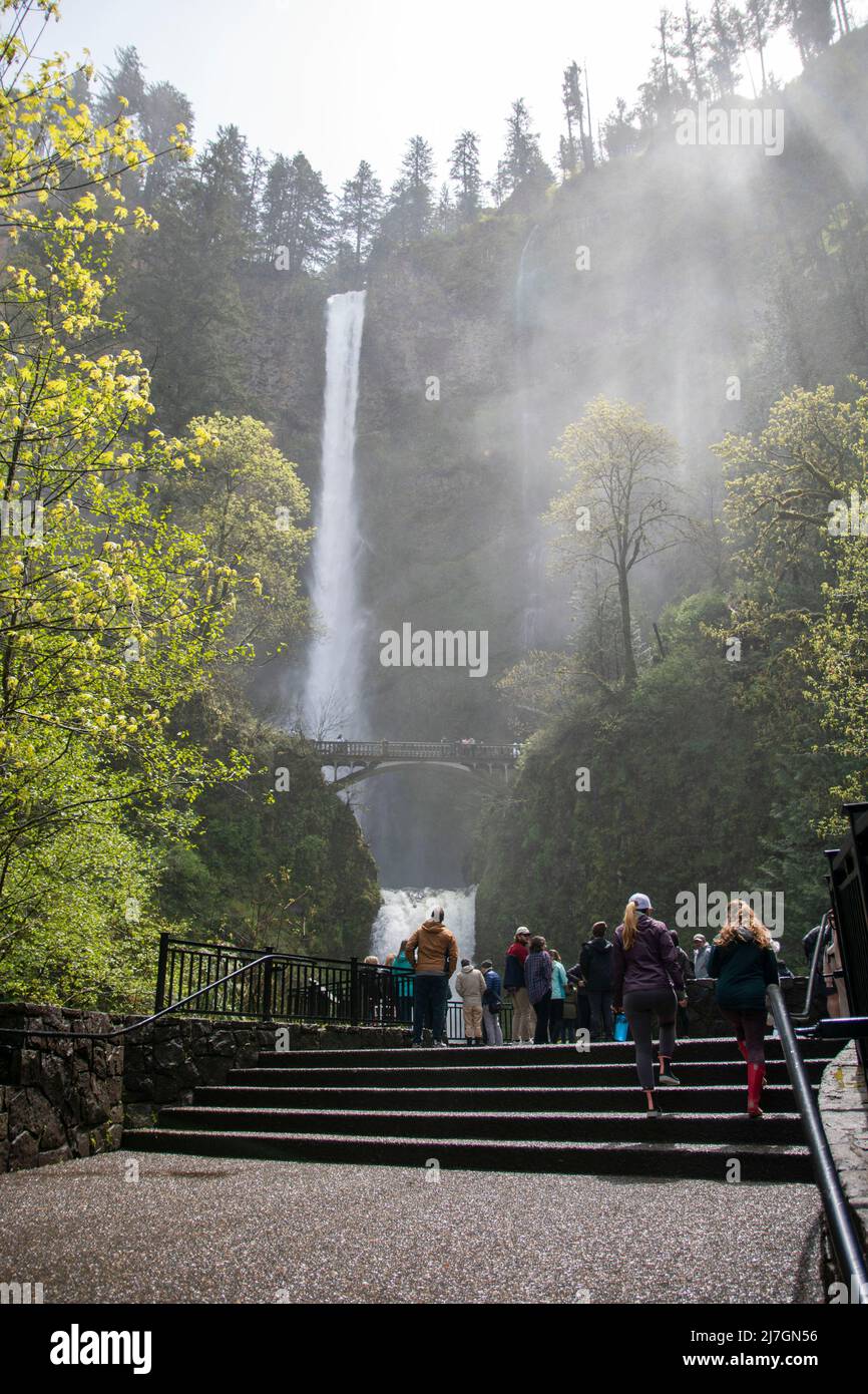 Majestic beautiful multnomah falls hi-res stock photography and images ...