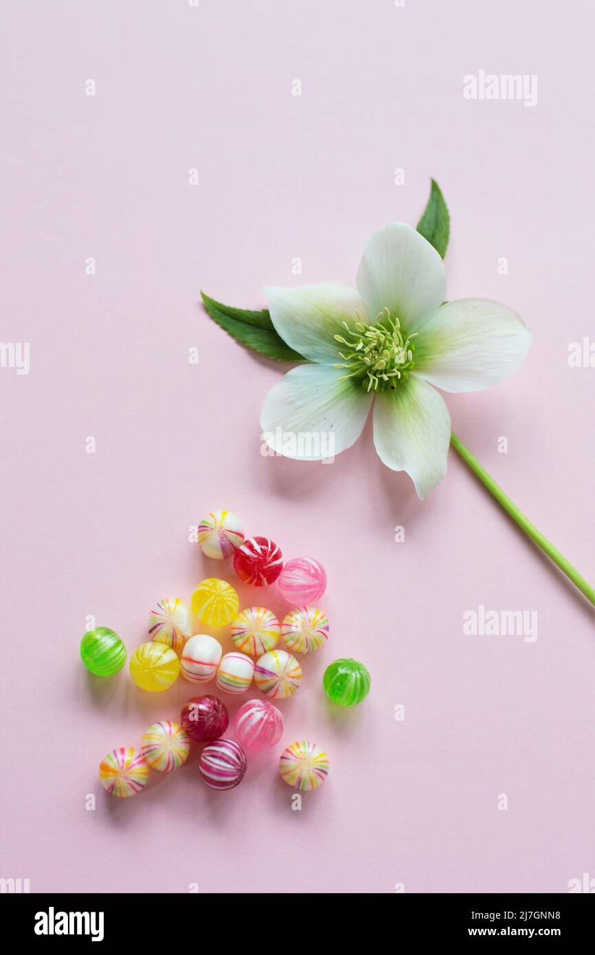Traditional still life candy candy hi-res stock photography and images ...