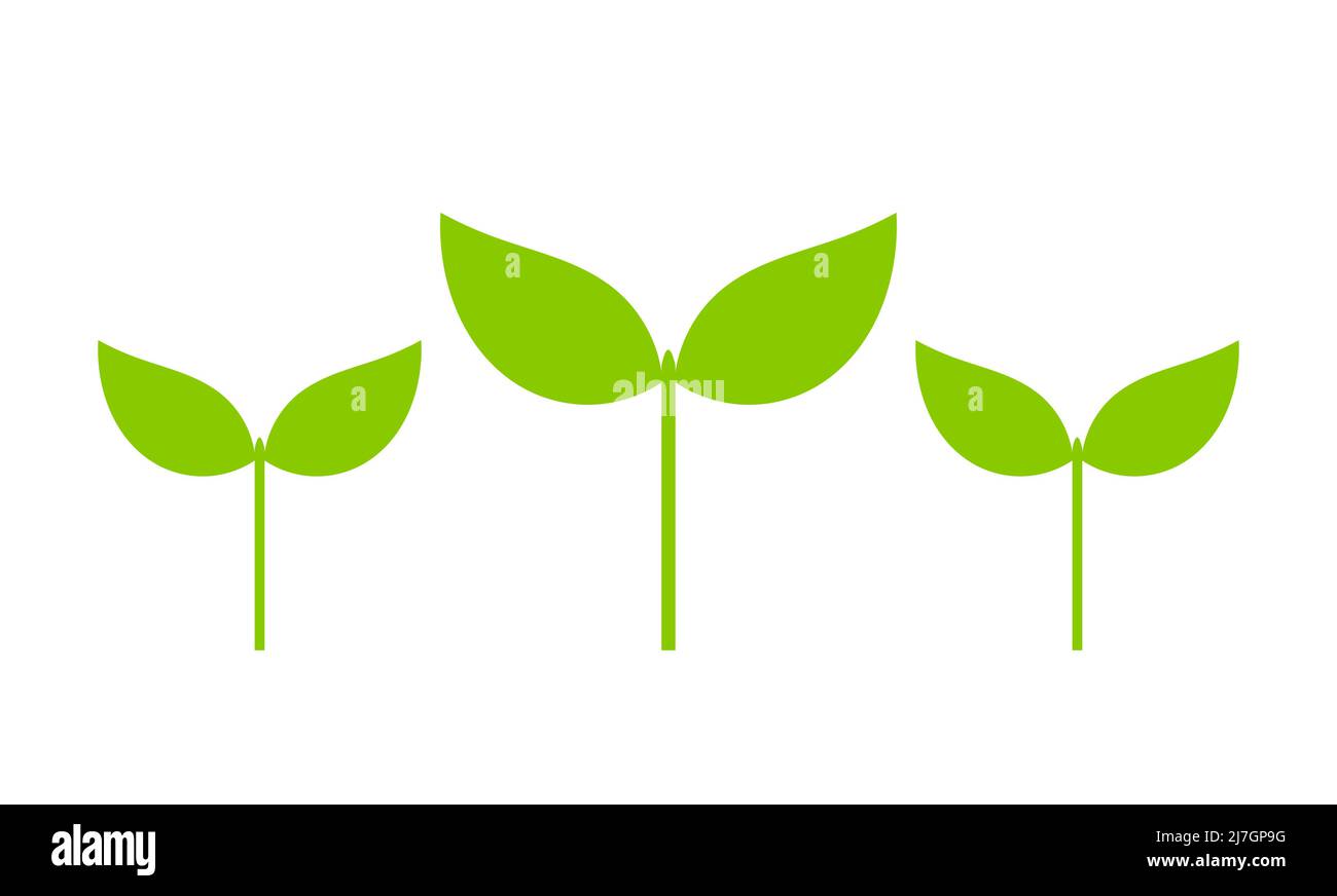 Plant seedlings green icons. Vector illustration Stock Vector Image ...