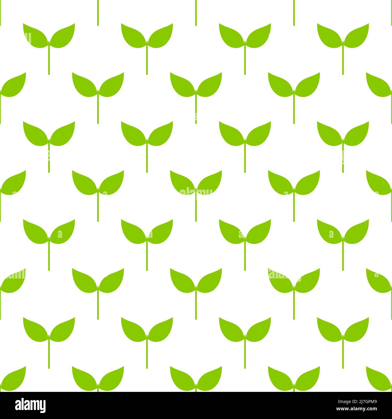 Green plants seedlings seamless pattern. Vector illustration Stock ...