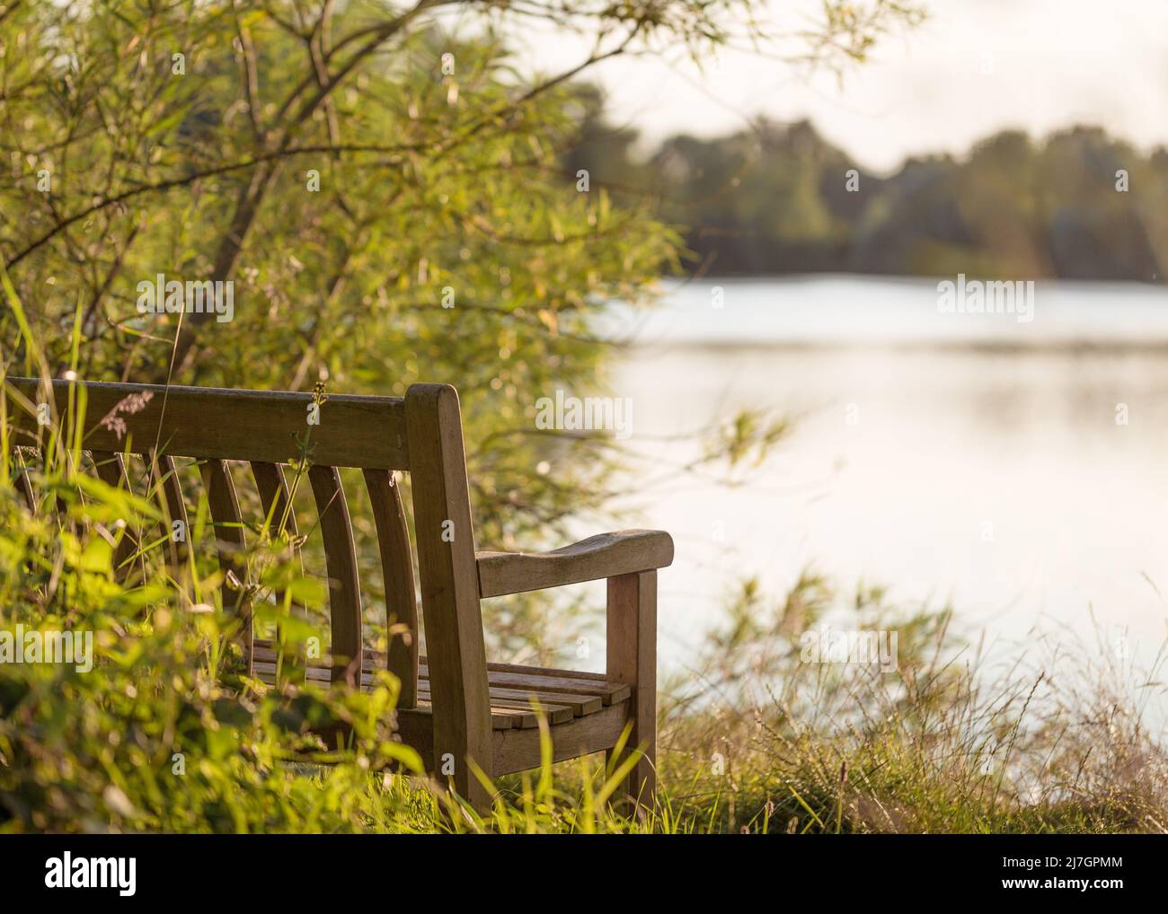 Wooden bench by a lake in the English countryside tranquil retirement ...