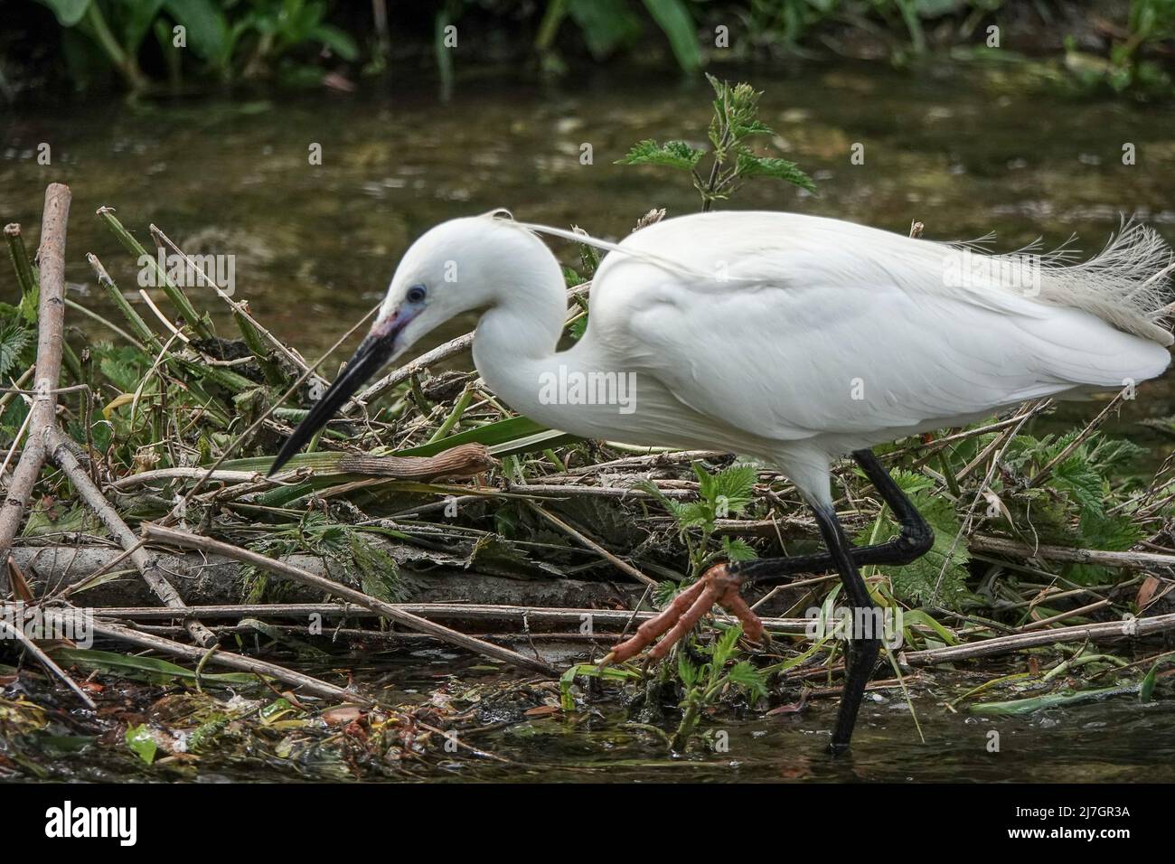 The Borelli Walk, Farnham. 09th May 2022. Warm and sunny weather across ...