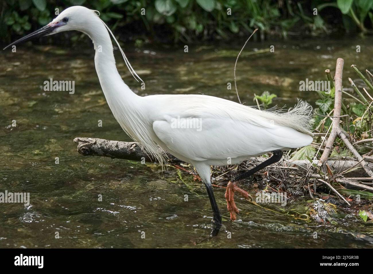 The Borelli Walk, Farnham. 09th May 2022. Warm and sunny weather across ...