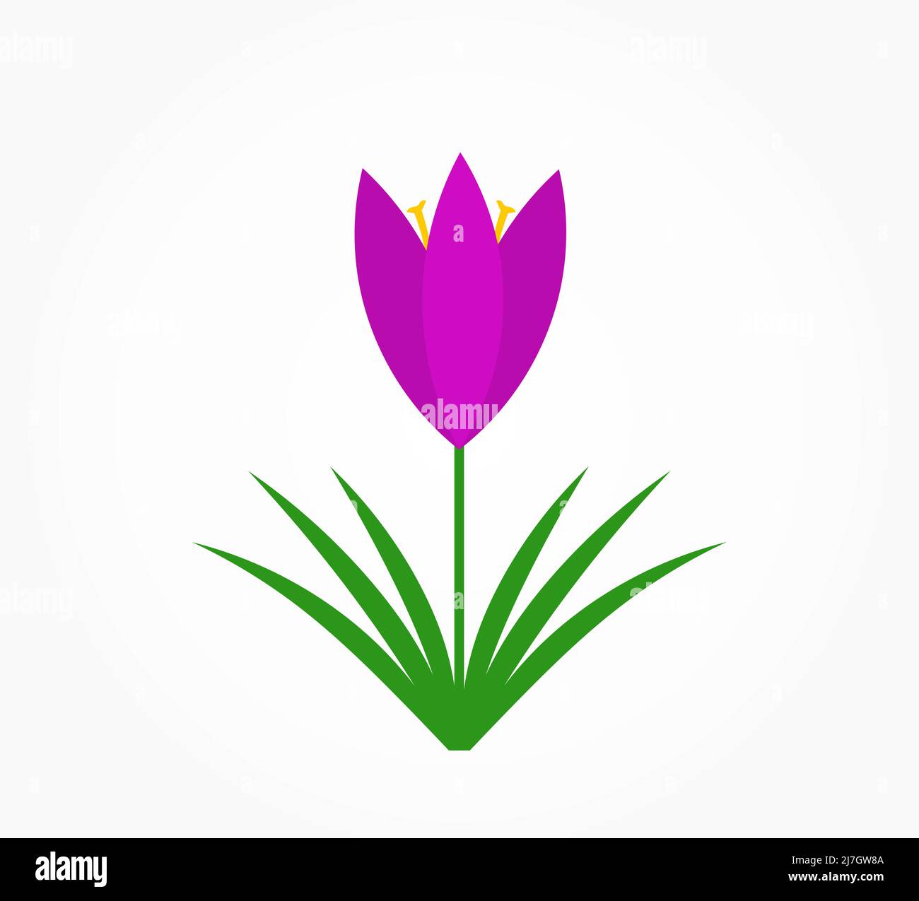 Crocus flower icon. Spring purple flower vector illustration Stock ...