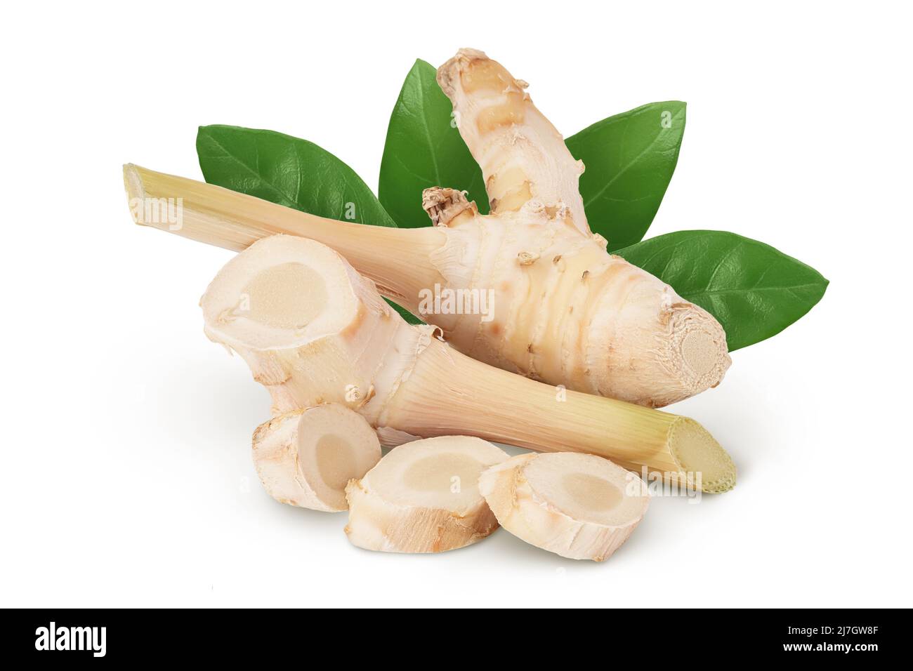 Fresh galangal root with slices isolated on white background with ...
