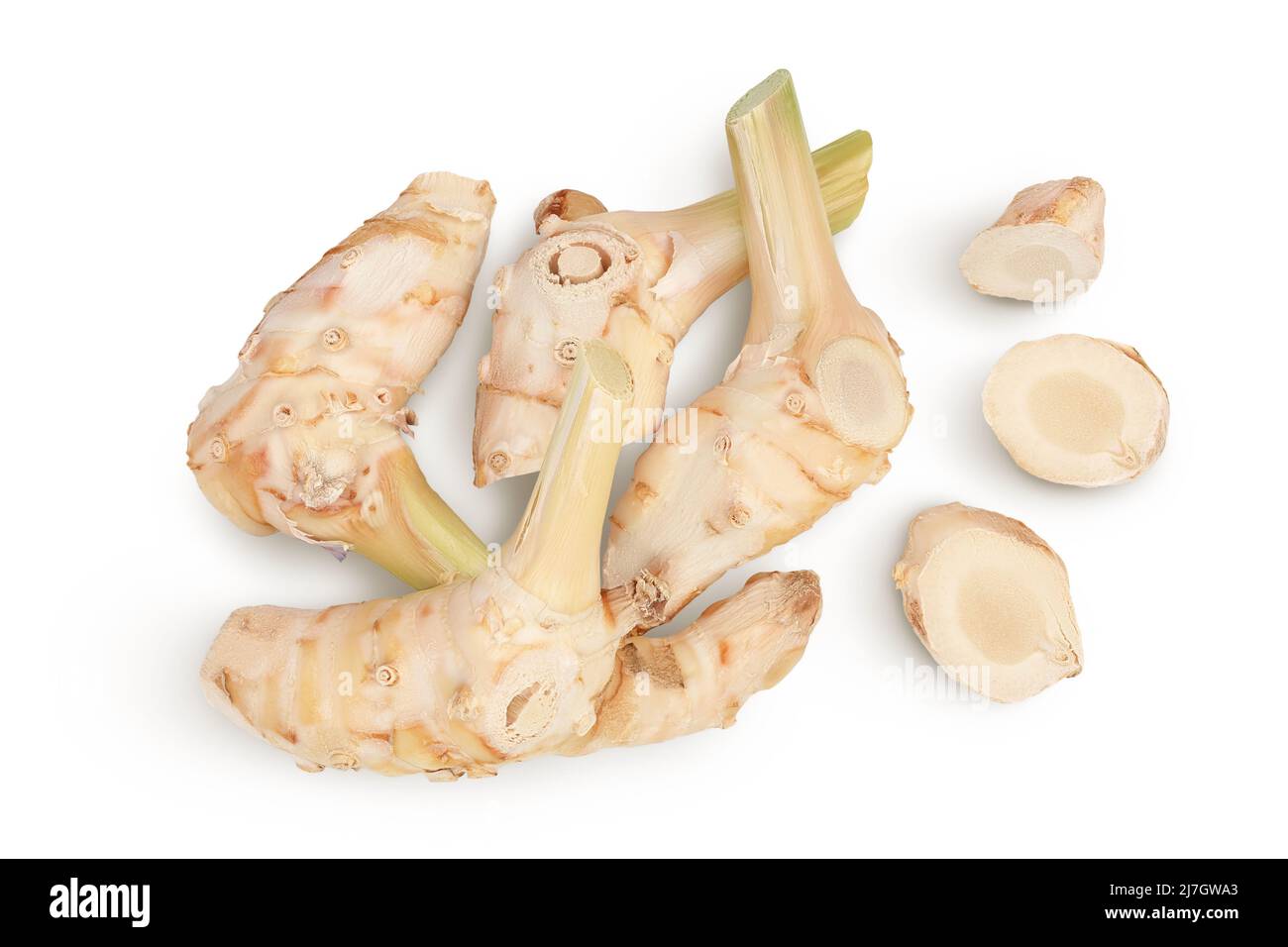 Fresh galangal root with slices isolated on white background with ...