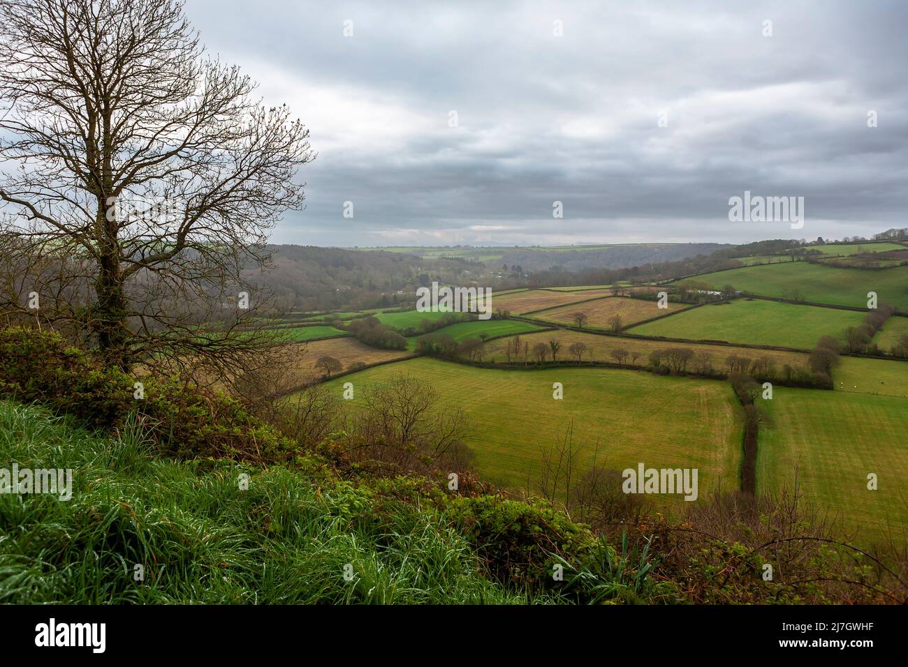 Torridge valley hi-res stock photography and images - Alamy