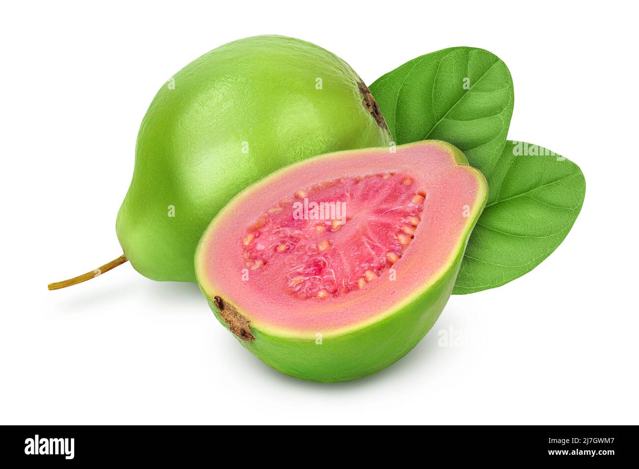 Guava fruit isolated on white background with clipping path and full ...