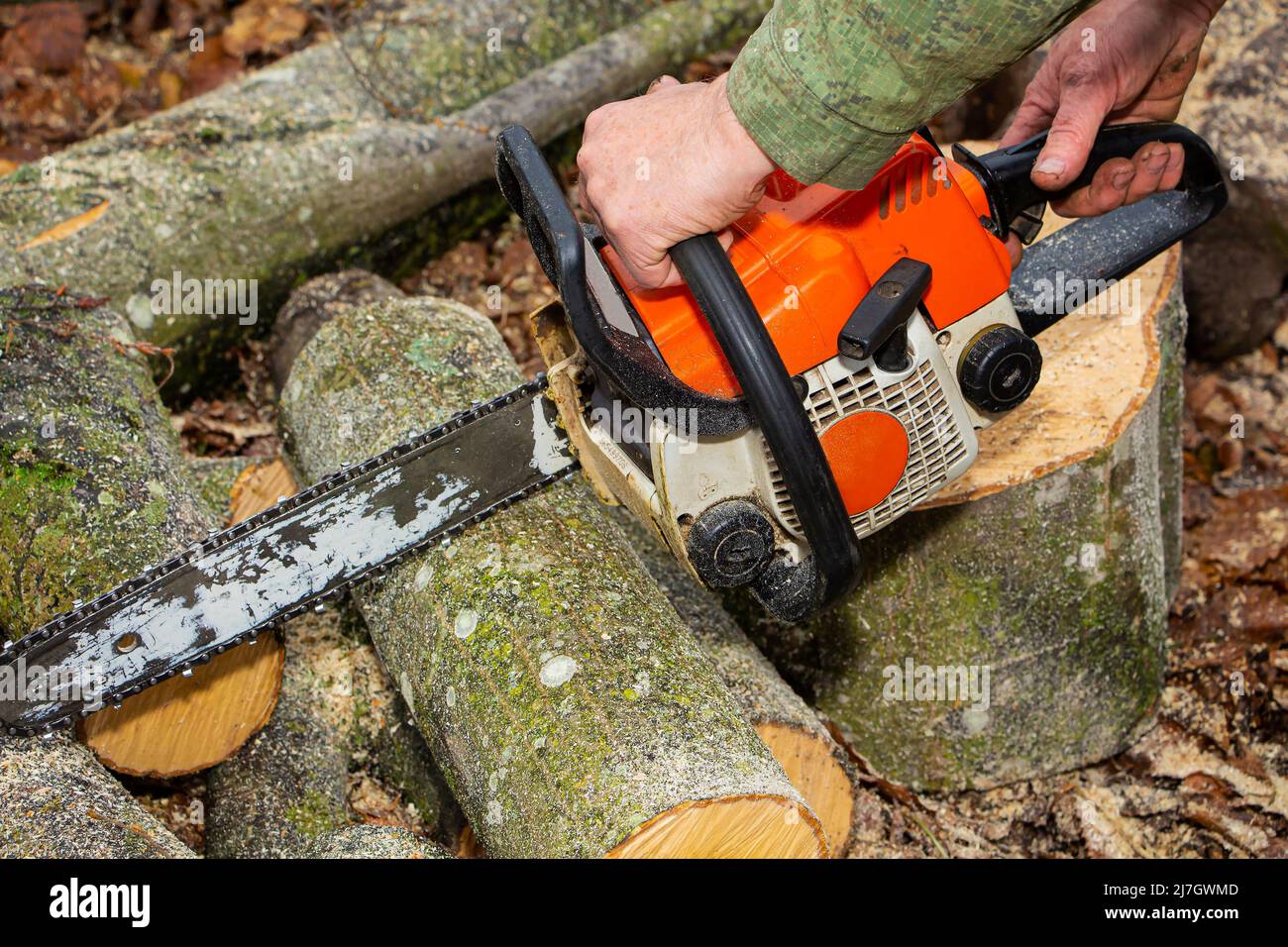 Close-up professional chainsaw blade cutting log of wood Stock Photo ...