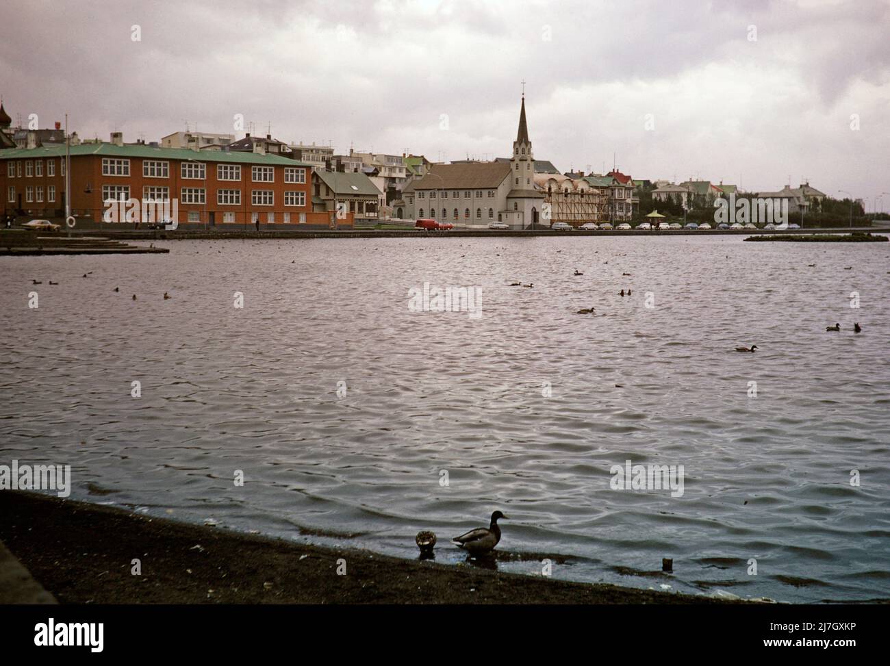 Historic buildings centred on Frikirkja church, Lake Tjornin, Reykjavík ...
