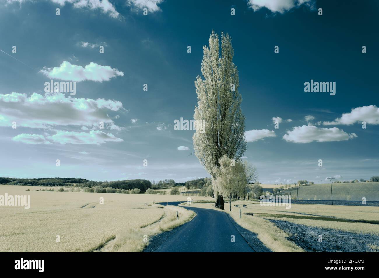 infrared photography - ir photo of landscape under sky with clouds ...