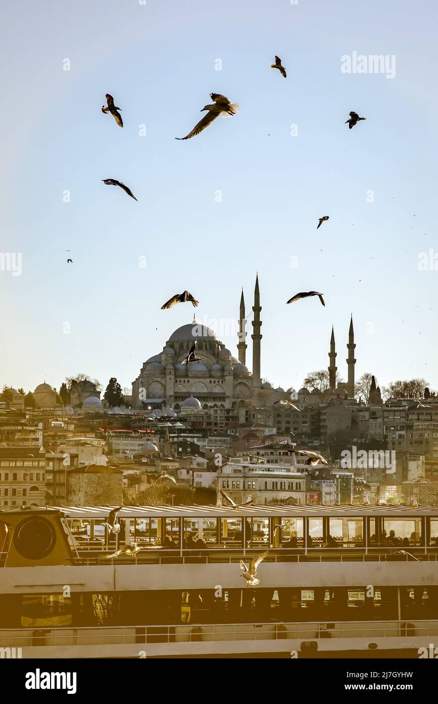 The seagulls flying over Istanbul panorama and Bosphorus. Birds over ...
