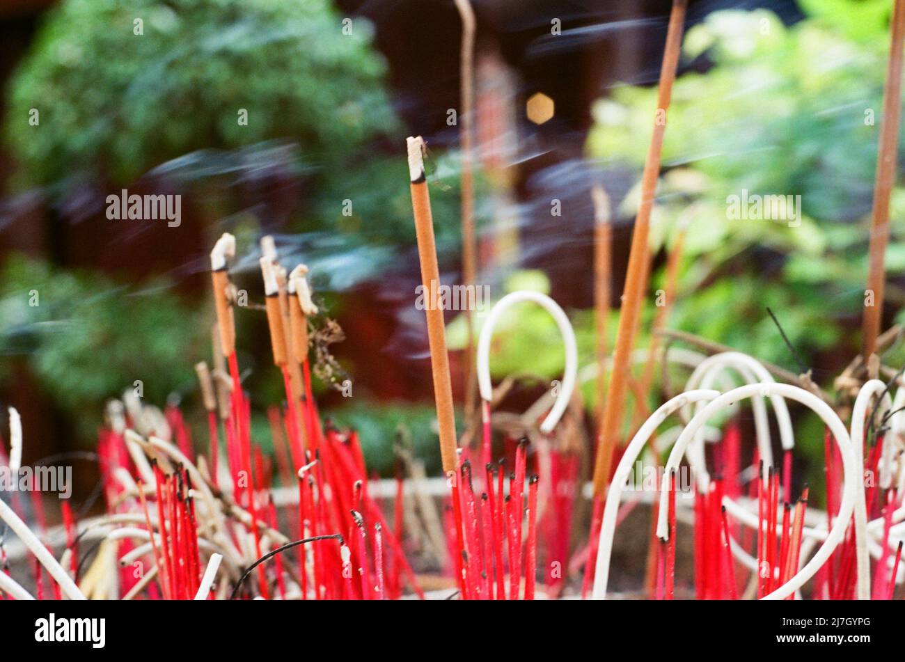 Colour 6 A Vietnamese Story Stock Photo - Alamy