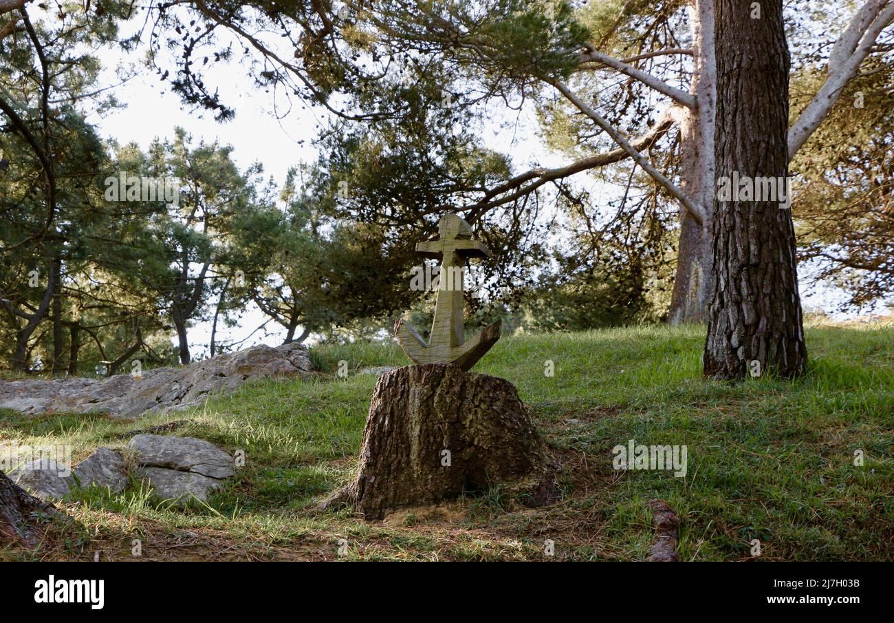 A cut down tree with the stump carved into the shape of an anchor ...