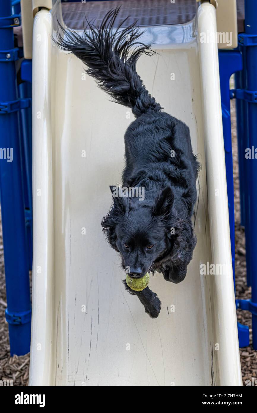 Going down the slide hi-res stock photography and images - Alamy