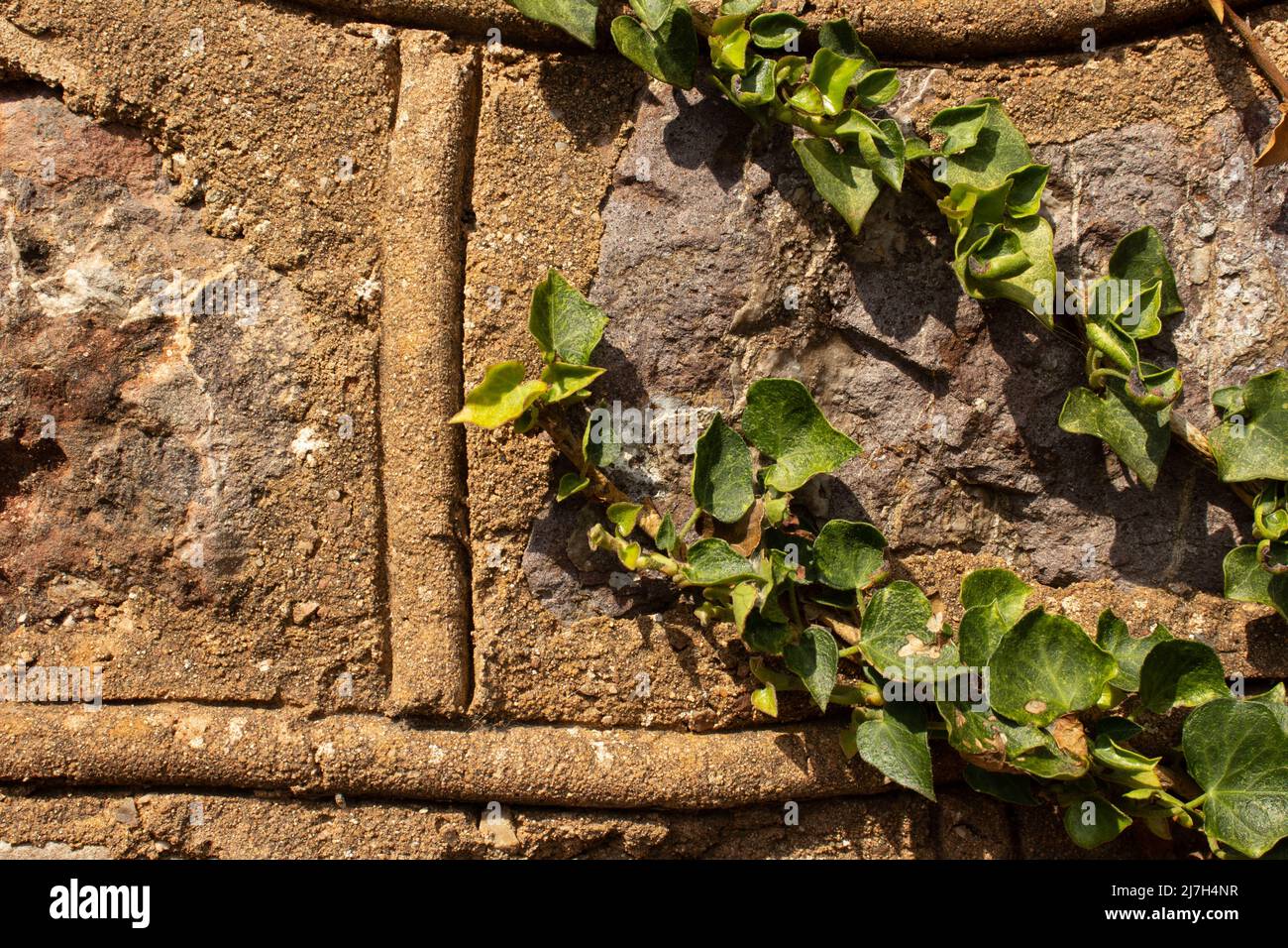 detail of orange rounded pointing used between stone construction of ...