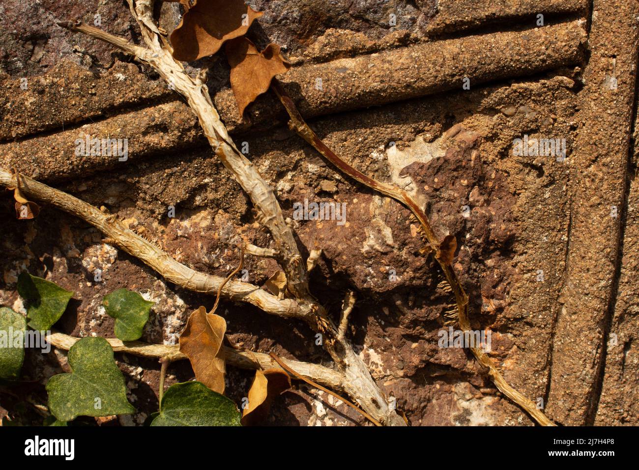 detail of orange rounded pointing used between stone construction of ...