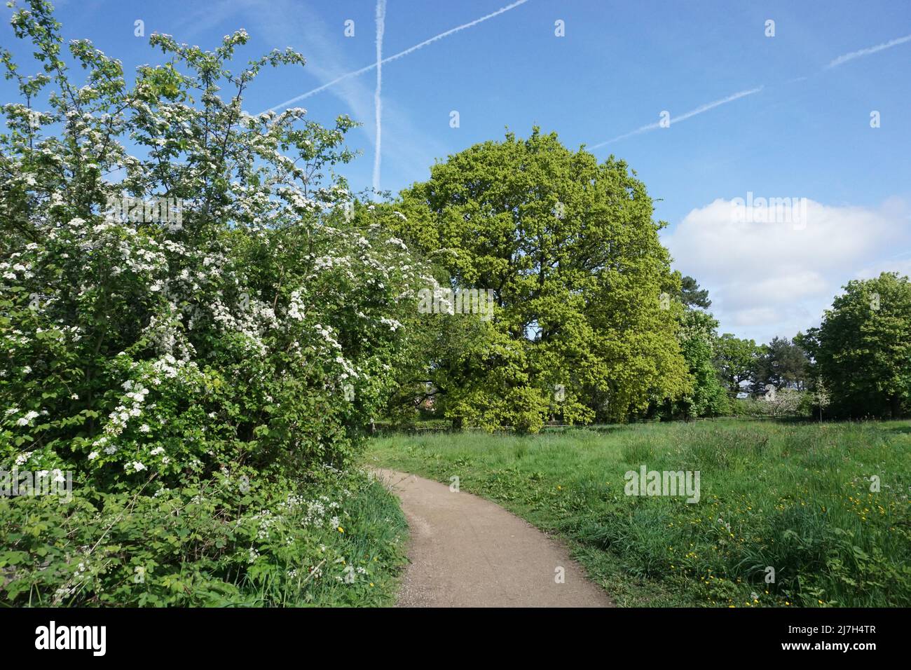 Spring blossom aeroplane hi-res stock photography and images - Alamy