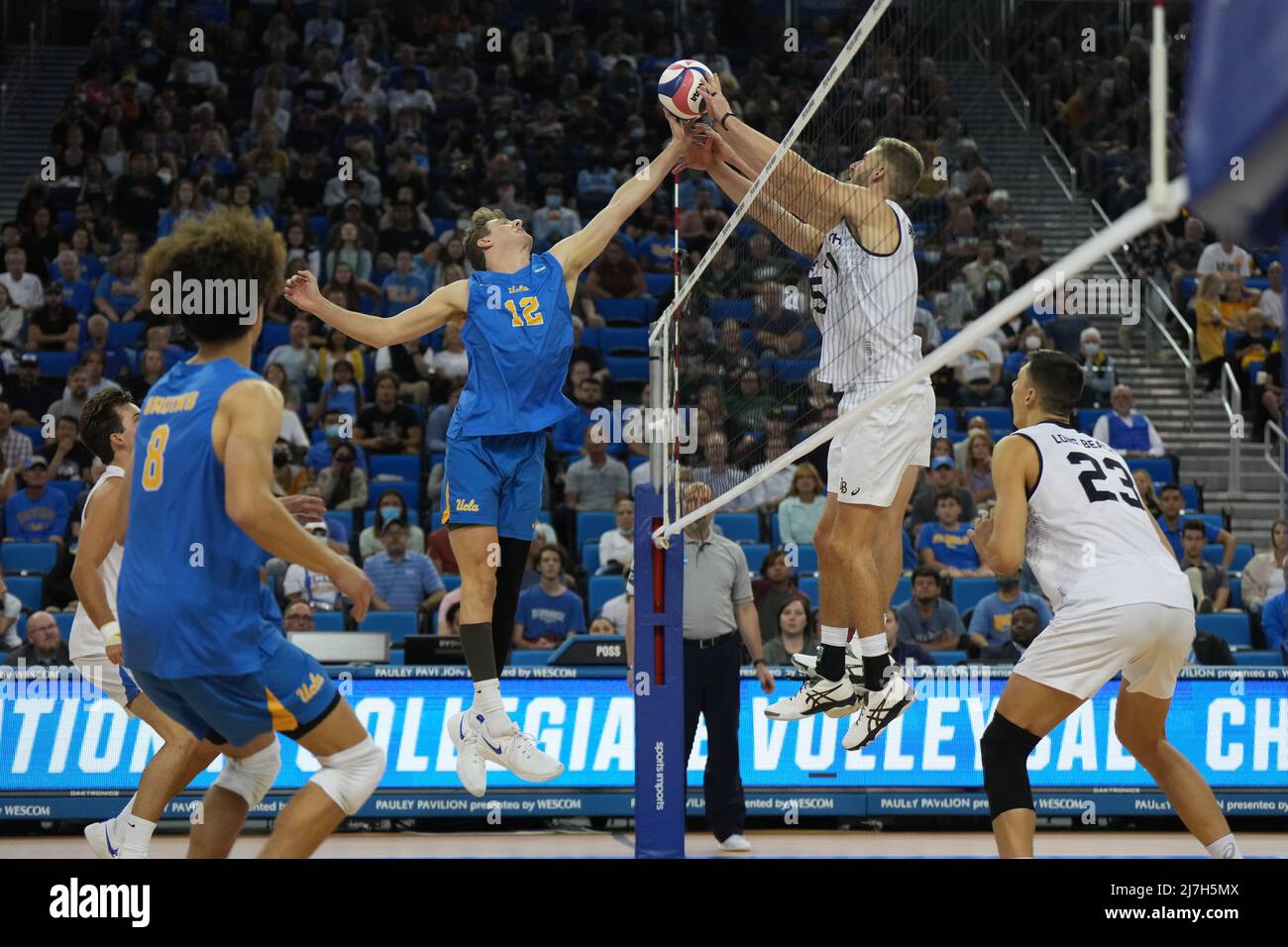 UCLA Bruins outside hitter Alex Knight (12) and Long Beach State ...