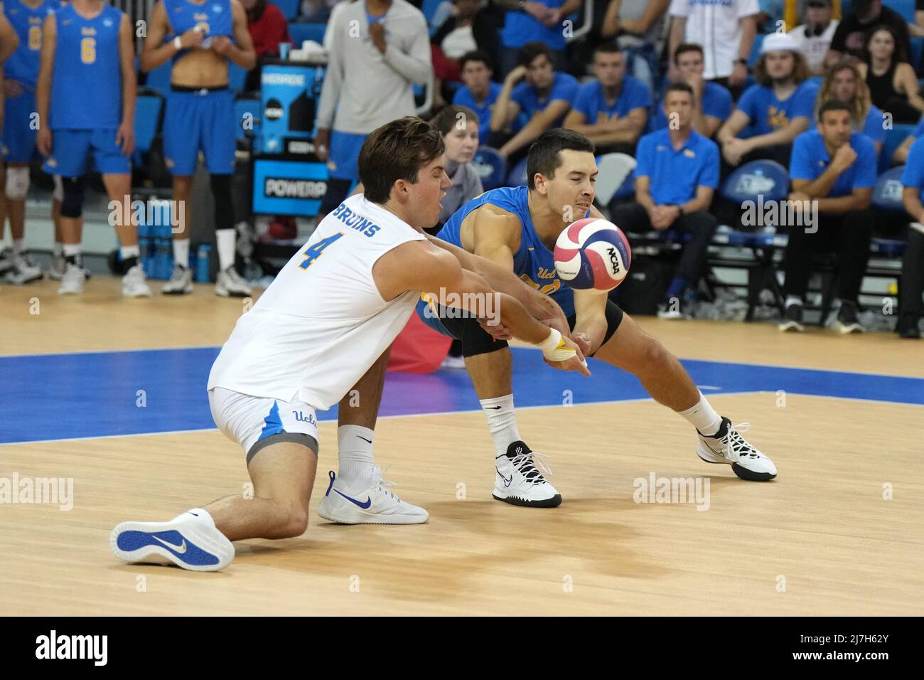 UCLA Bruins libero Cole Pinder (4) and outside hitter Ethan Champlin ...