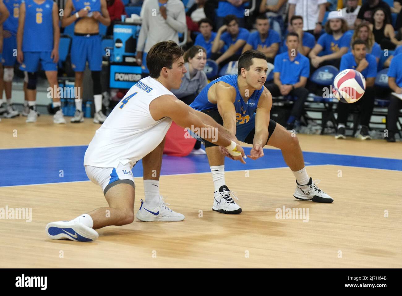 UCLA Bruins libero Cole Pinder (4) and outside hitter Ethan Champlin ...