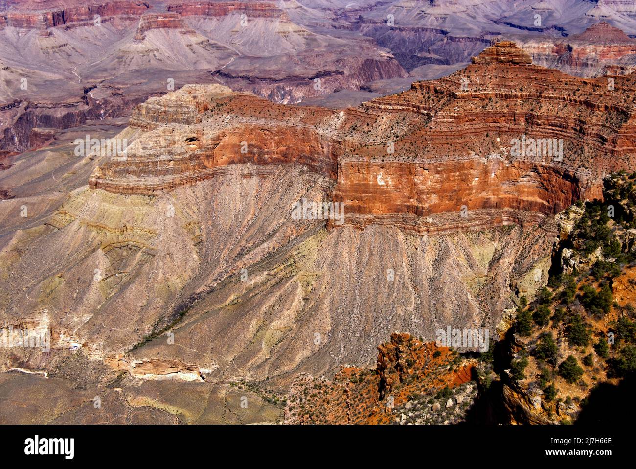 Grand Canyon - Rim Trail Stock Photo - Alamy