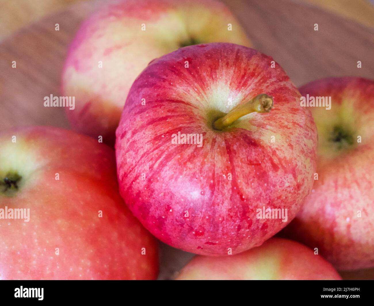 A few ripe striped apples, a close-up shot. Apples of the gala and ...
