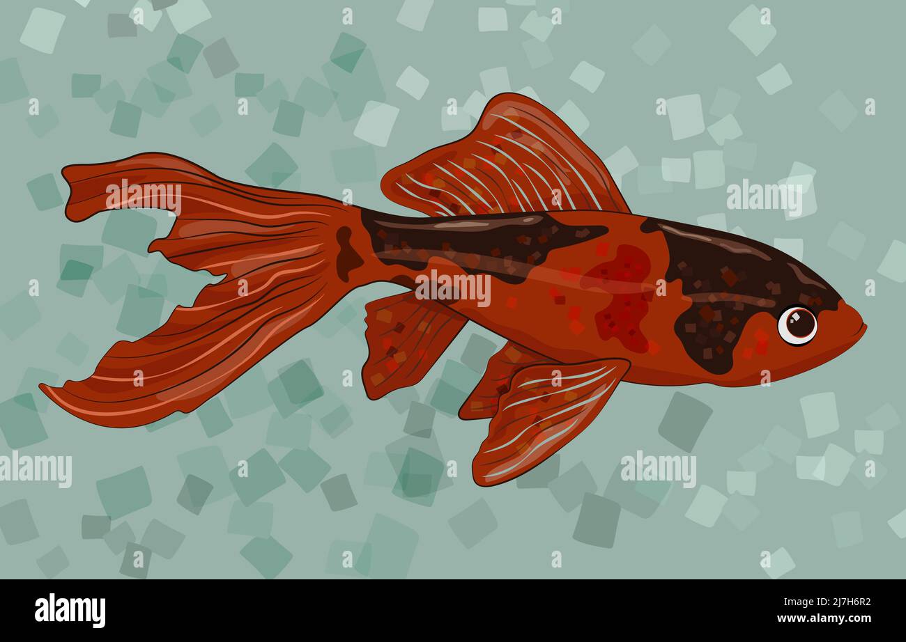 Japanese goldfish Stock Vector Images - Alamy