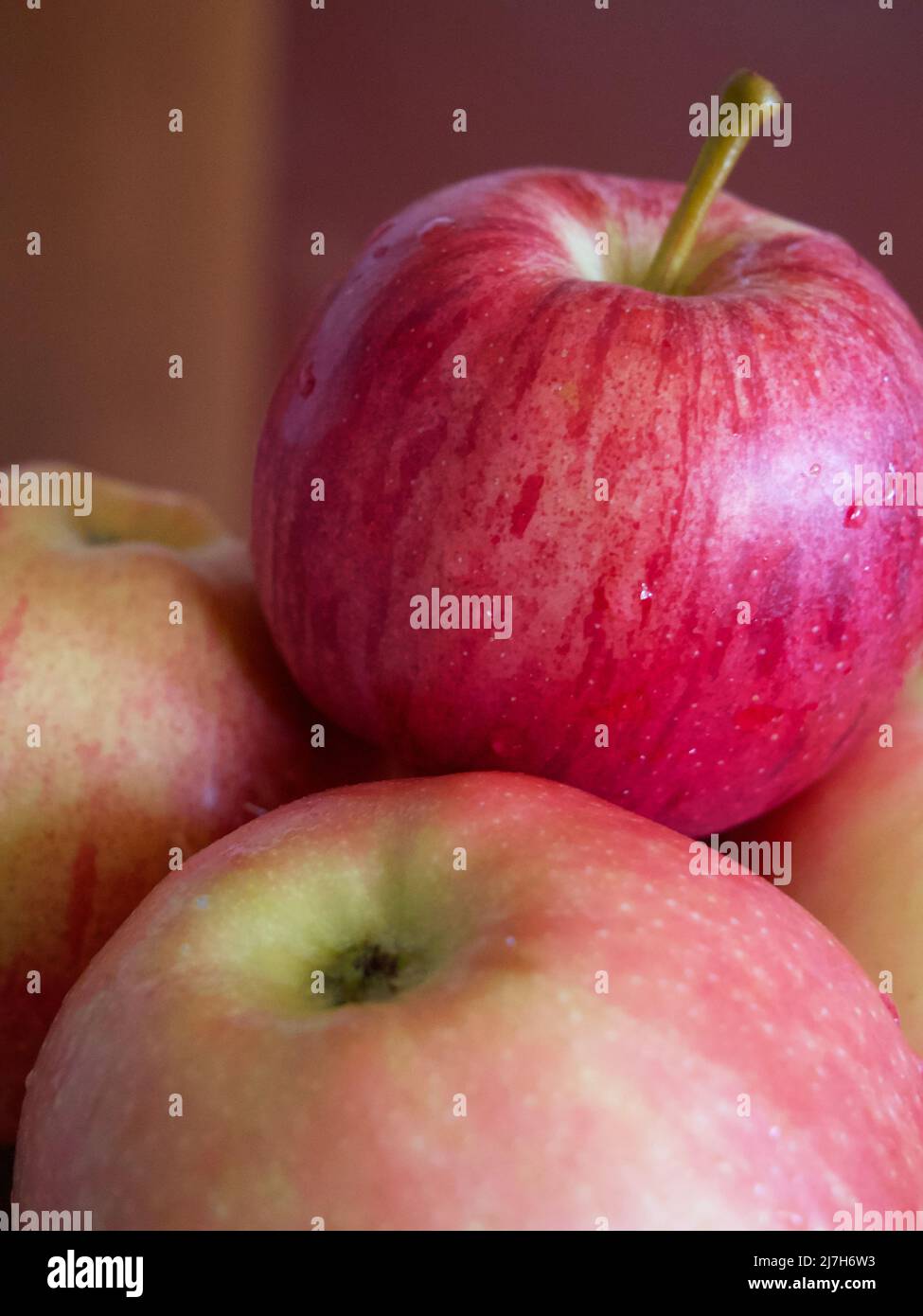 A few ripe striped apples, a close-up shot. Apples of the gala and ...