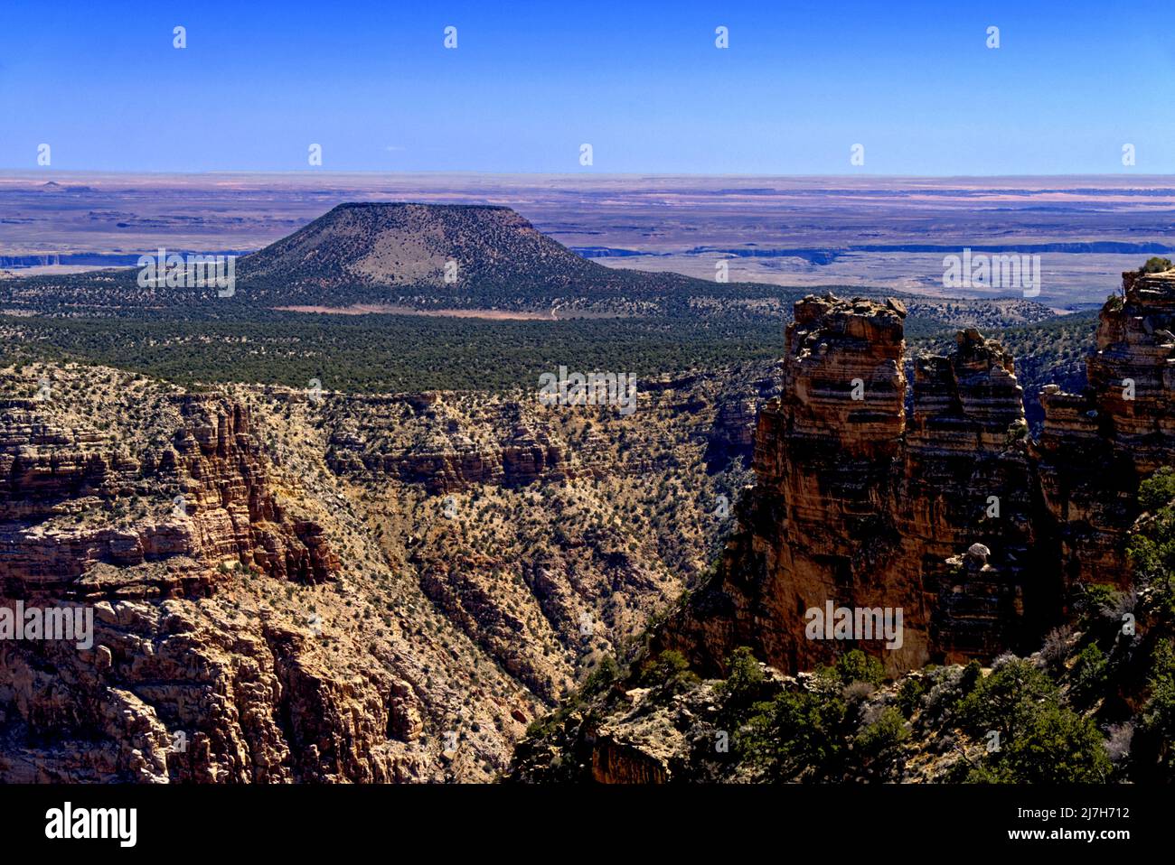 Grand Canyon - Desert View Point Stock Photo - Alamy