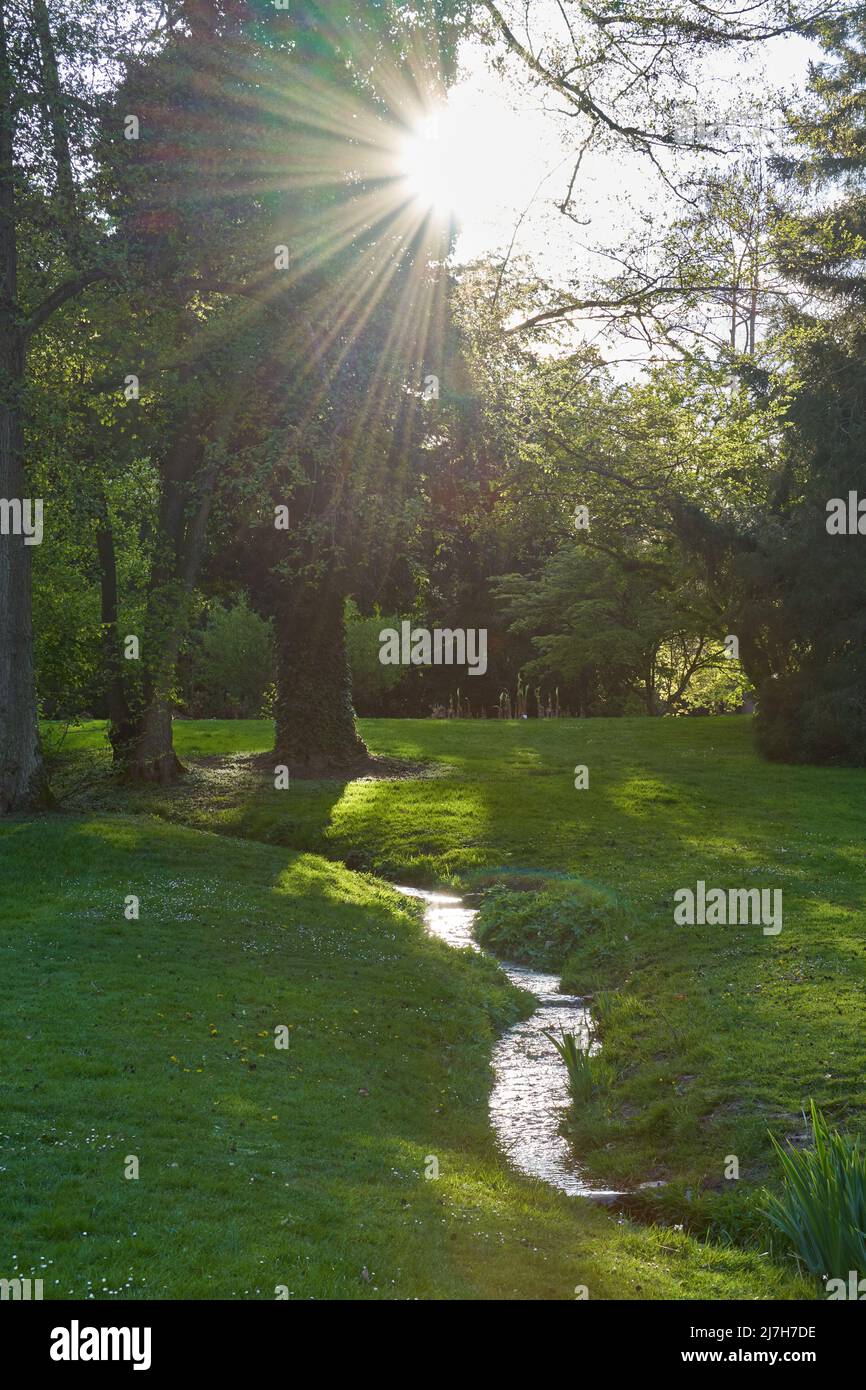 Small river flows through a green grass landscape. Sunlight reflected ...
