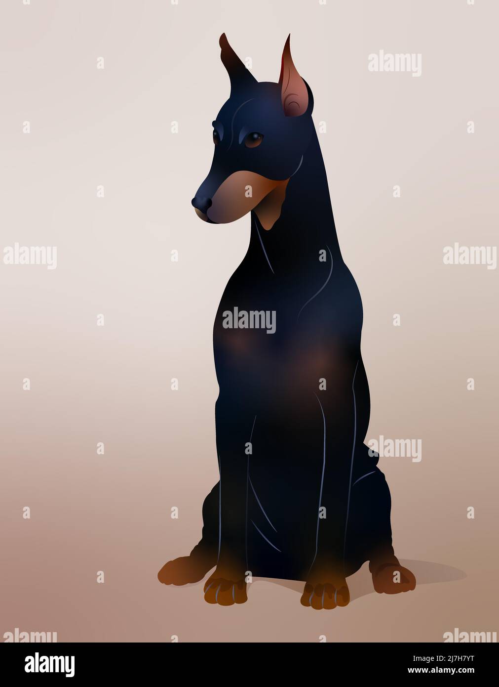 Service dog Stock Vector Images - Alamy