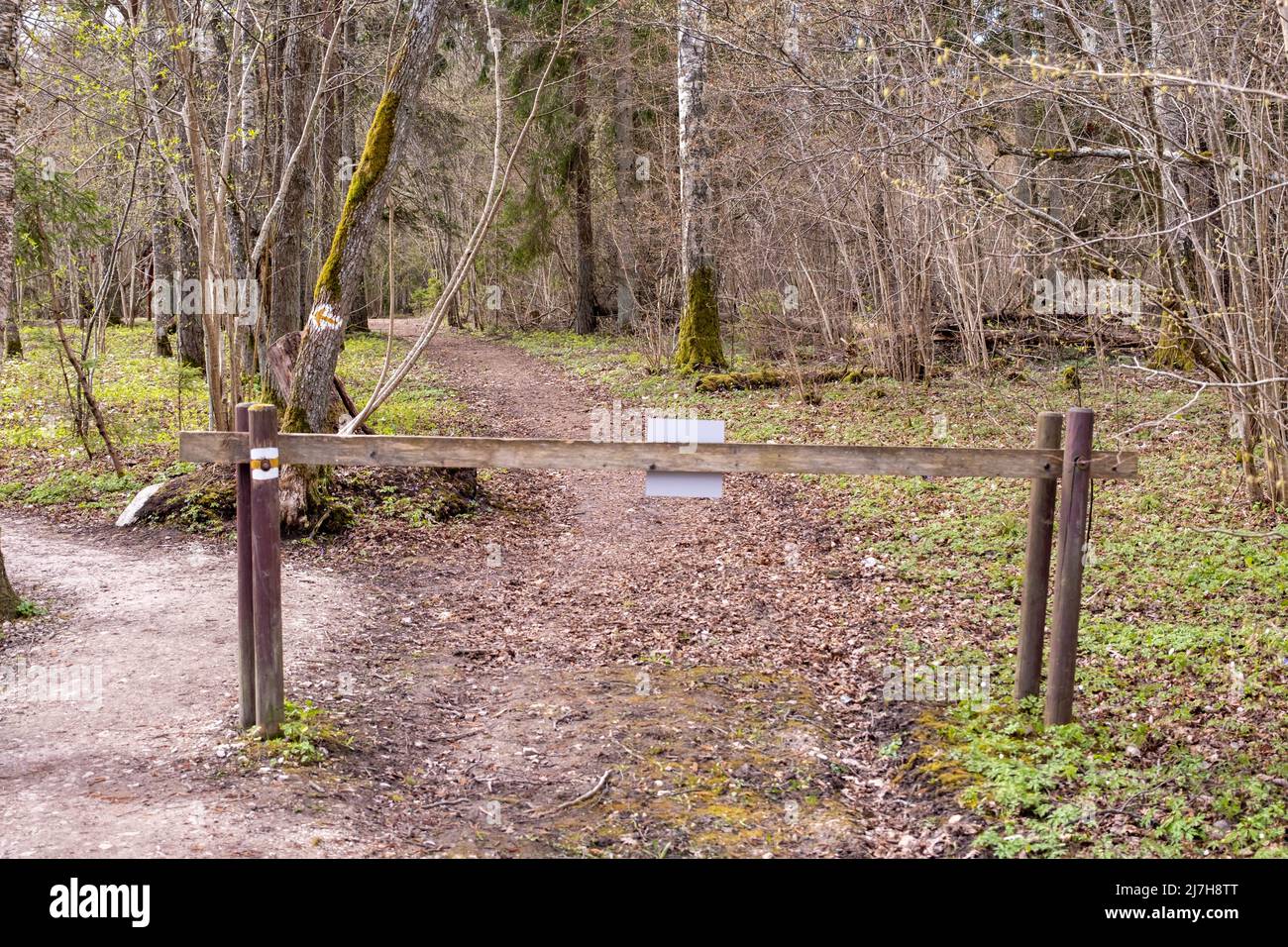 the barrier at the entrance to the forest. Wooden fence barrier in ...