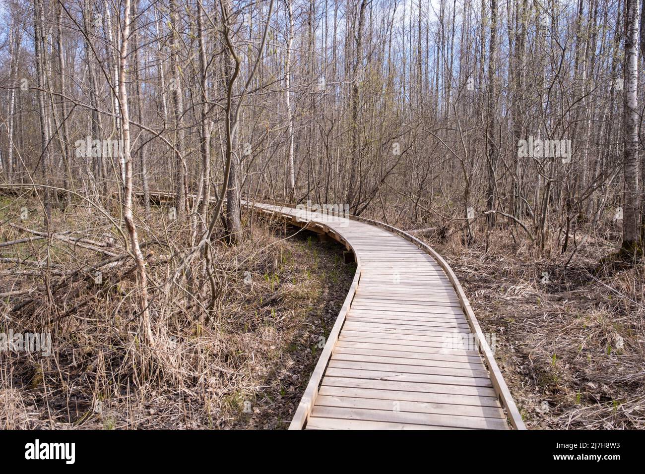 Wetlands walkway bridge hi-res stock photography and images - Alamy