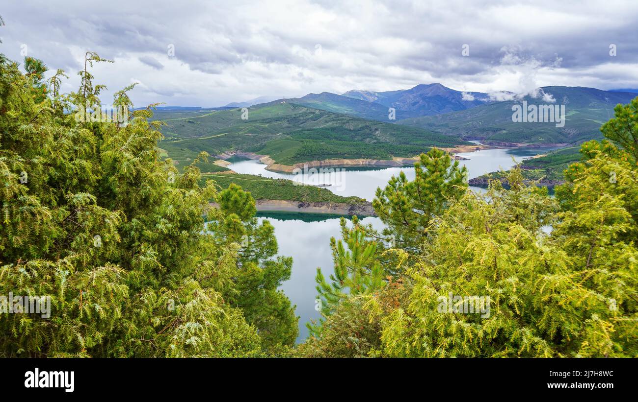 Green landscape of Mediterranean forest with pine trees and lakes ...