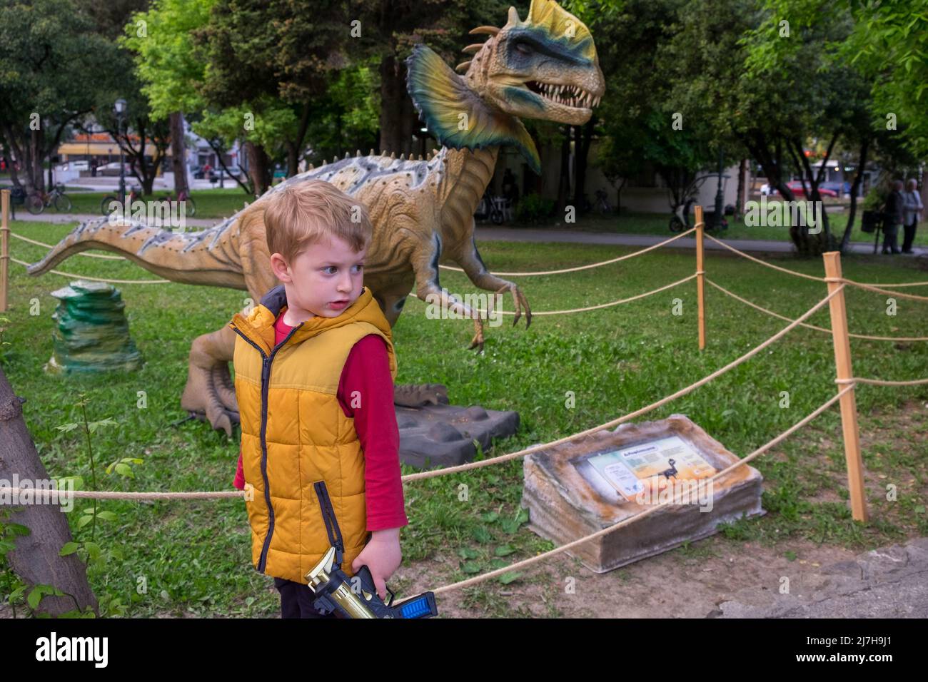 Cute little boy staring dinosaurs in a dinosaur festival Stock Photo ...